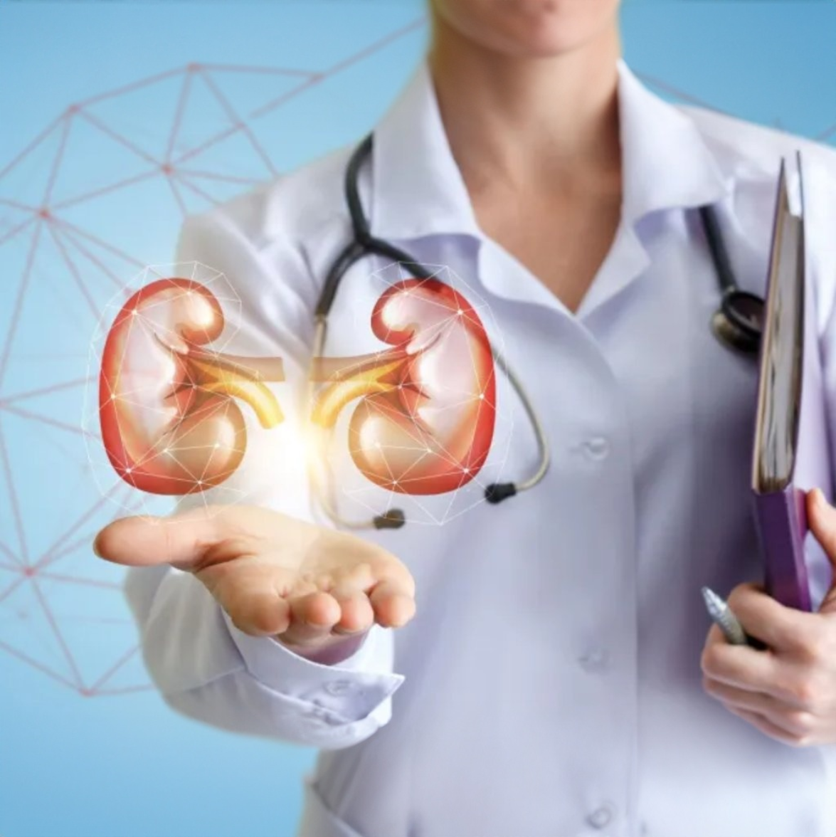 322777- Kidney Function Panel – MY FLORIDA LAB